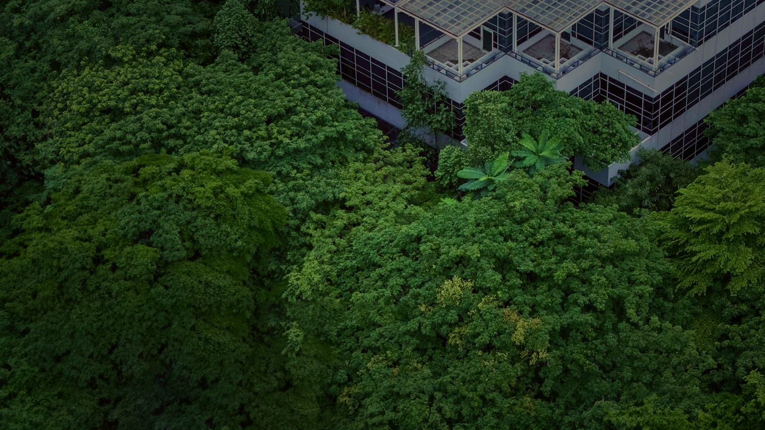 DCI Indonesia - Hyperscale Data Center & Colocation